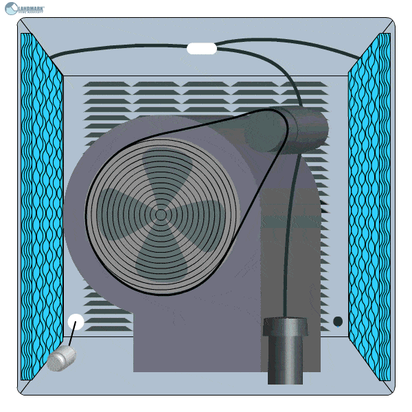 Best Window Swamp Coolers – 2022 Guide
